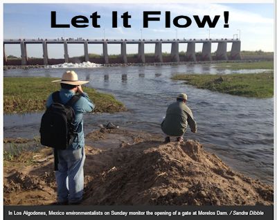 Colorado River Restoration Begins! – Save the Colorado
